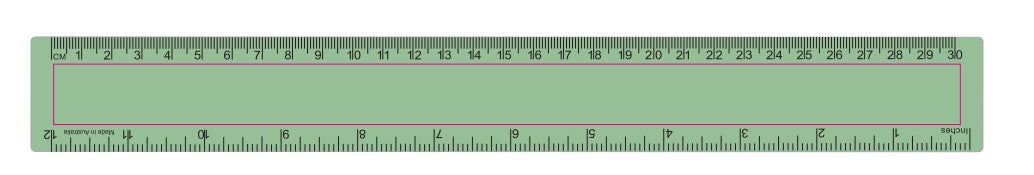 Recycled Plastic Ruler 30cm